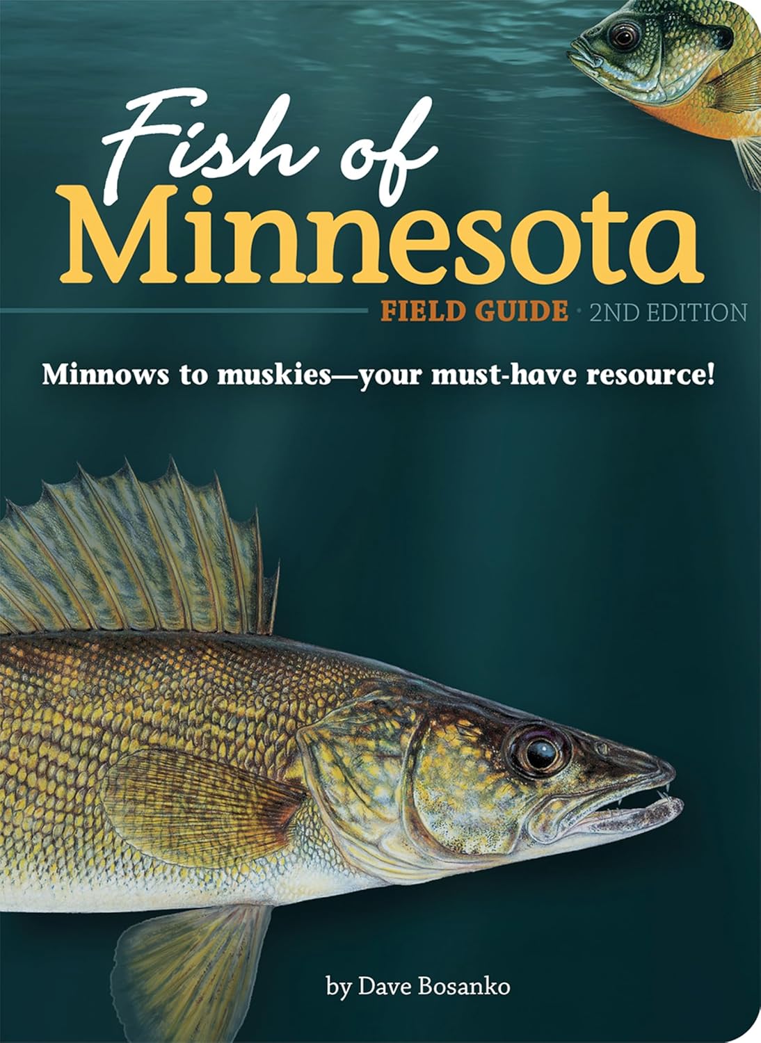 Fish of Minnesota Field Guide (Fish Identification Guides) – LENONLURES.COM